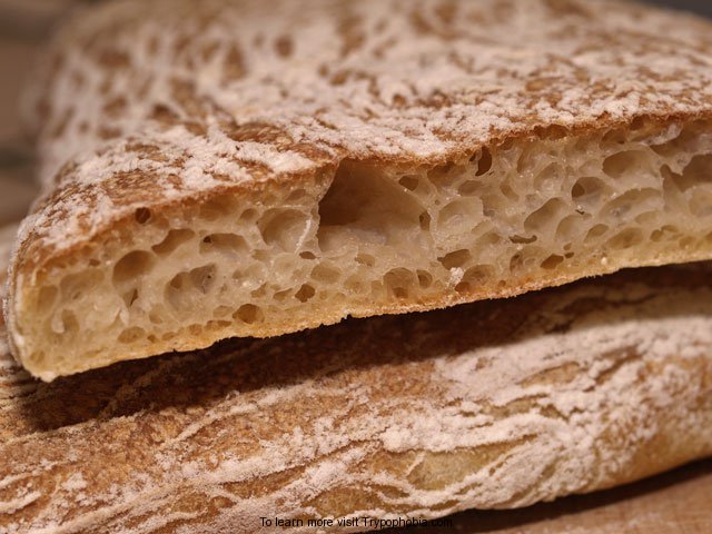 trypo // the concept – PORCELAIN EVOLUTION LAB