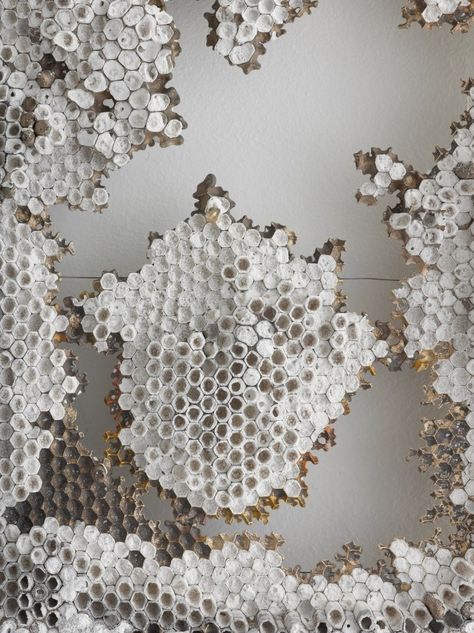 trypo // the concept – PORCELAIN EVOLUTION LAB