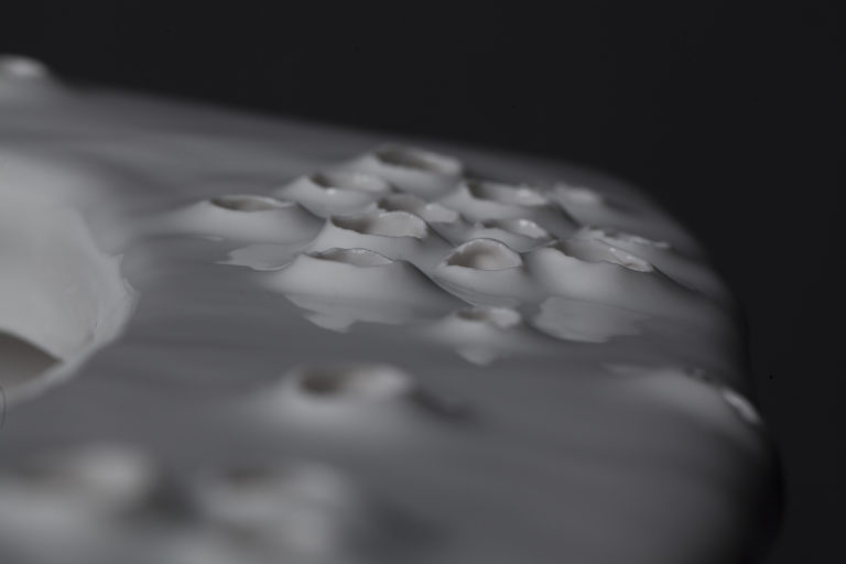 trypo // the concept – PORCELAIN EVOLUTION LAB